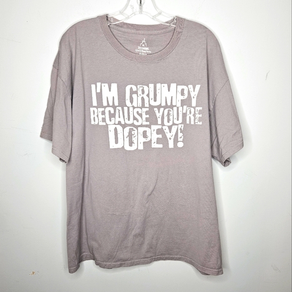 Disney | Tops | Disney Snow White Grumpy Grey T Shirt I Am Grumpy ...